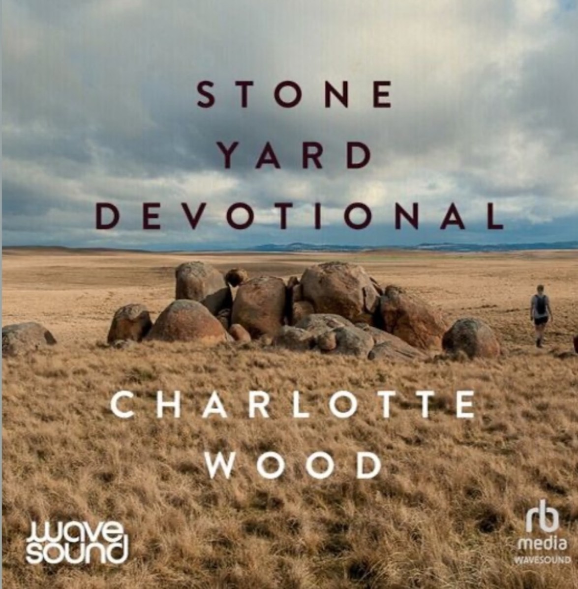Book review: Stoneyard Devotional by Charlotte Wood – R L Smith
